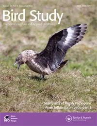 White-tailed Eagle | BTO